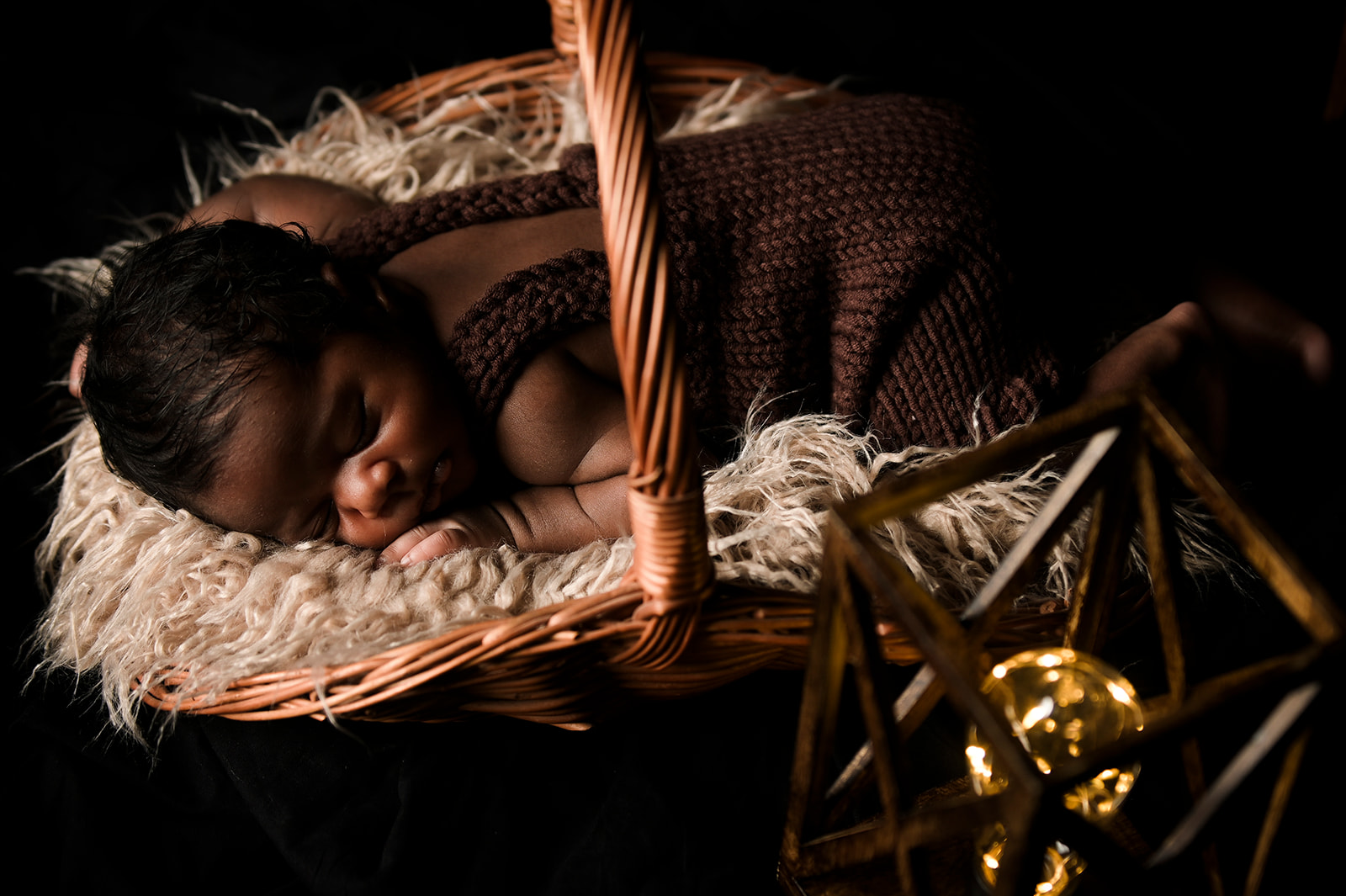 Galleries • Explore Our Stunning Photo Galleries • New 2025